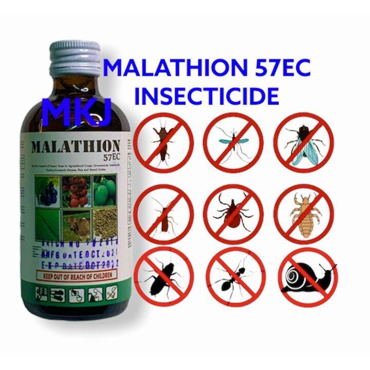 60ml/100ml: Malathion (Insecticide) | Lazada PH