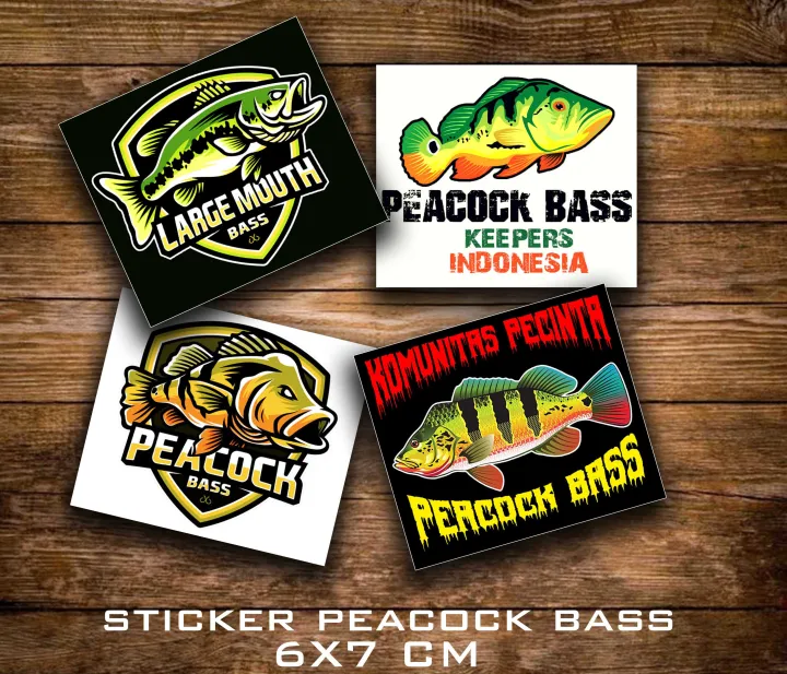 Sticker peacock bass stiker ikan predator pikok bas | Lazada Indonesia
