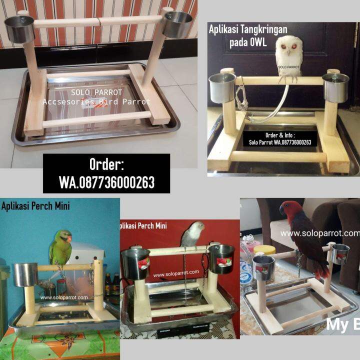 Perch Tenggeran Tangkringan Mini Buat Burung Parrot Parkit Lovebird ...