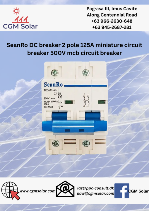SeanRo DC breaker 2 pole 125A miniature circuit breaker 500V mcb circuit breaker | Lazada PH