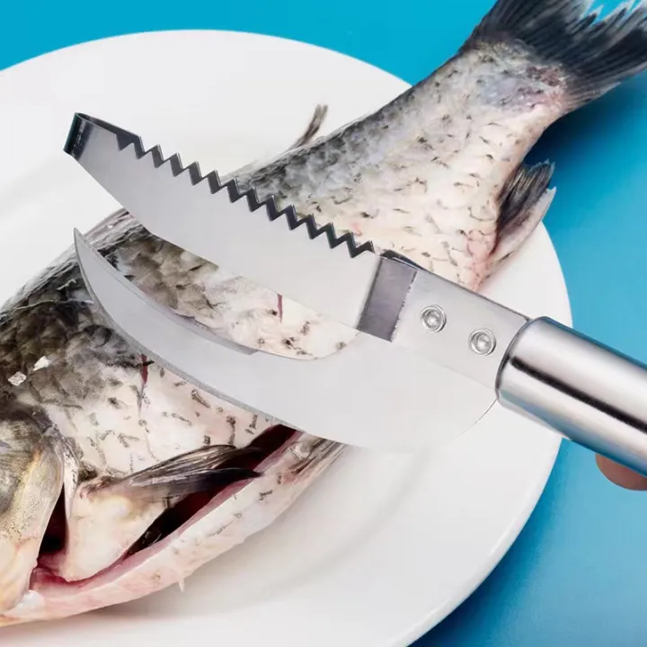 Trendy Fish Scaler, Stainless Steel Fish Scales Remover Easily Remove ...