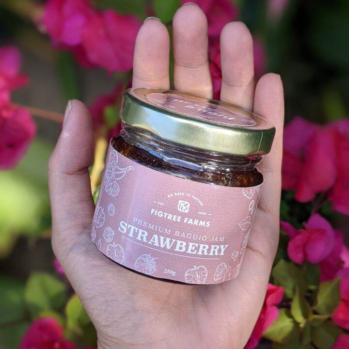 Figtree Farms All Natural Strawberry Jam 250g | Lazada PH