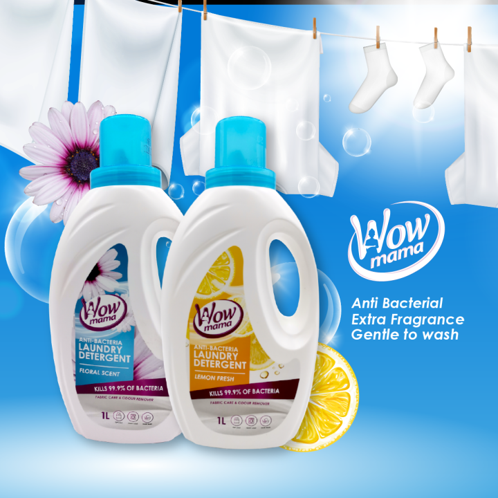 BUY 1 TAKE 1 Wow Mama Anti-Bacterial Liquid Laundry Detergent 1L ...