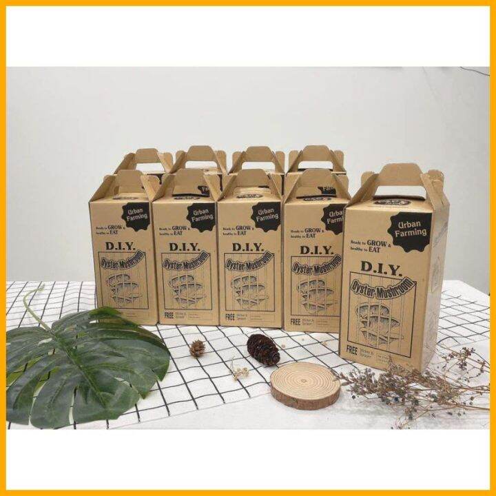 Mushroom Box / Mushroom Kit / / DIY Mushroom / Cendawan Tiram | Lazada