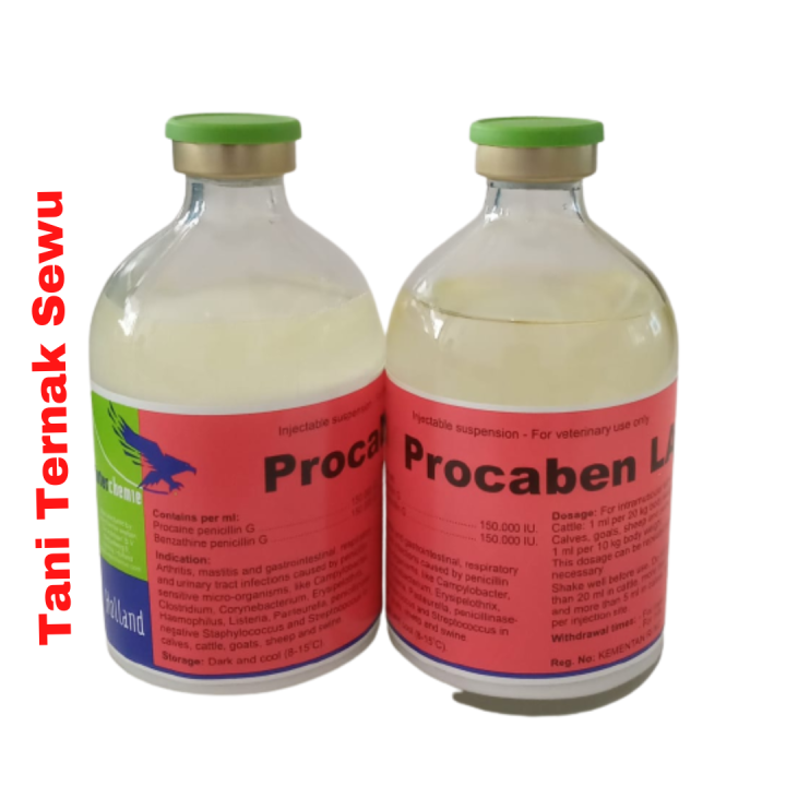 PROCABEN LA 100 ML - PENGGANTI PENSTREP 400 100ml Antibiotik Pernafasan ...