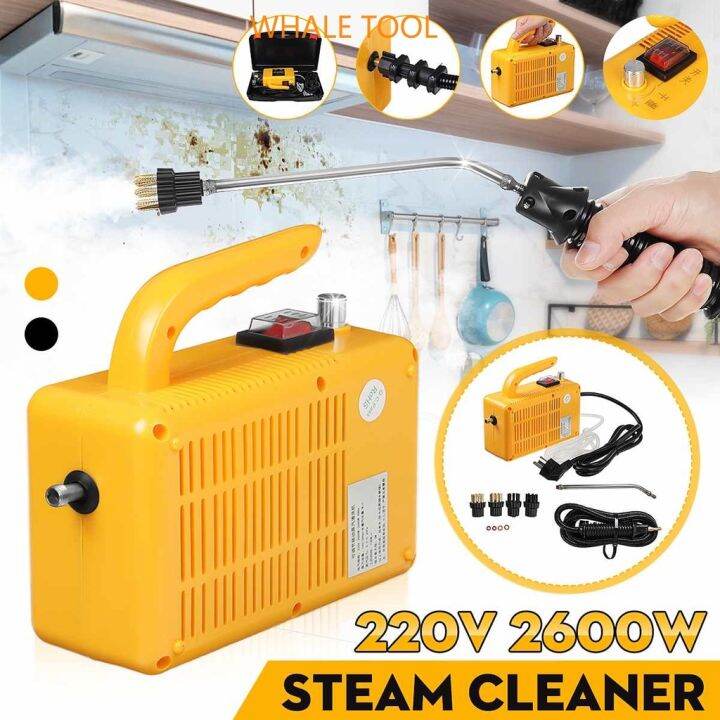 220V 2600W high pressure steam cleaner cleaning machine Cleaning ...