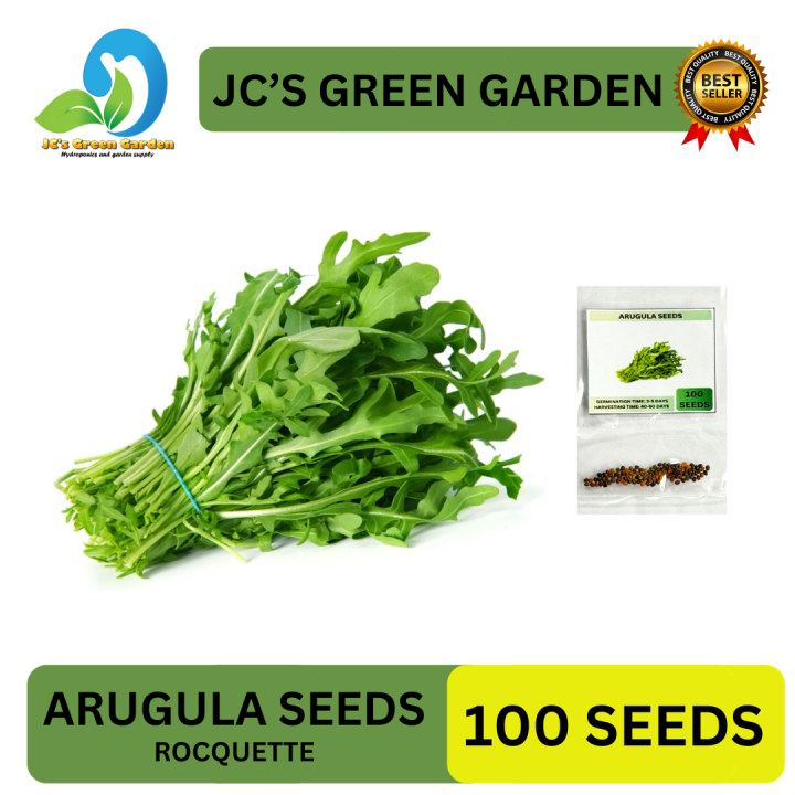(100 SEEDS) ROCKET ARUGULA SEEDS/ROCQUETTE/HIGH YIELDING/FOR PLANTING ...