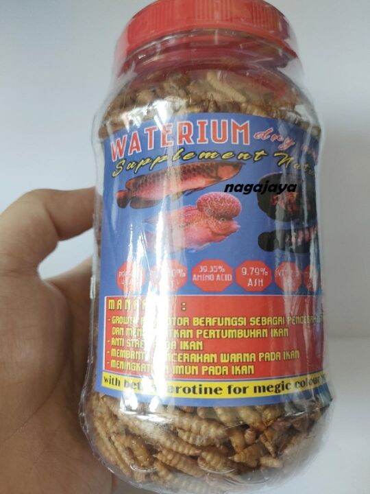 magot maggot premium waterium ulat kering pakan ikan predator | Lazada ...