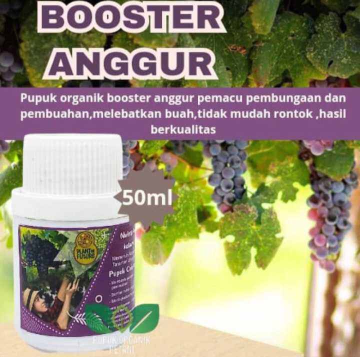 Pupuk organik cair booster anggur kemasan 50 ml pelebat buah nutrisi organik anggur pemacu bunga ...