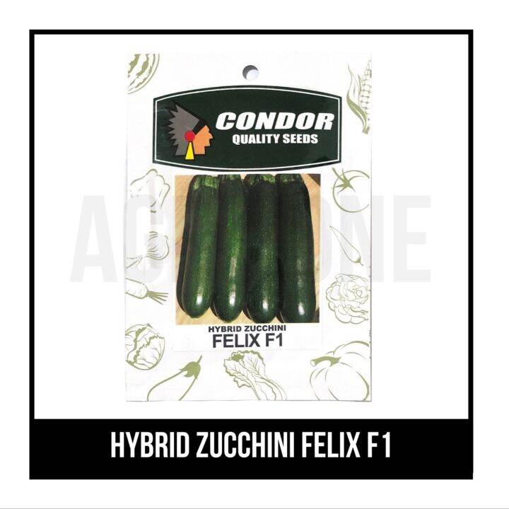 Condor Seeds Hybrid Zucchini Felix F1 | Lazada PH