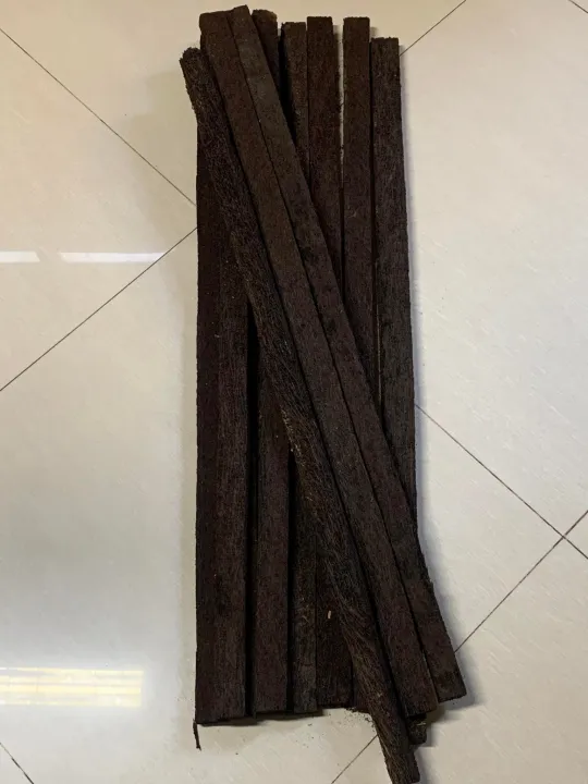 2ft Fern stick/ Fern pole/ Fern totem by Curated Plants | Lazada PH