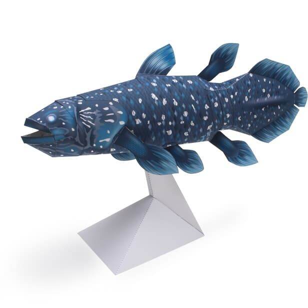 Coelacanth Papercraft | Lazada Indonesia