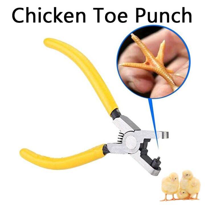 2mm Yellow Chick Toe Puncher Poultry Universal Puncher Chicken Farm ...