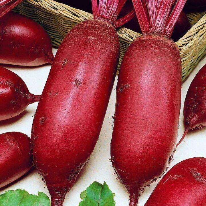Seeds Beet Long Beetroot Dark Red Vegetable Planting Organic Heirloom ...