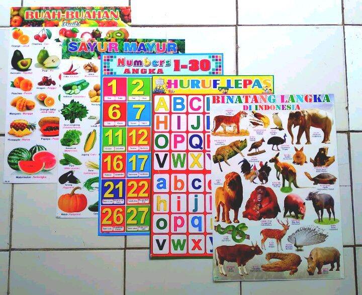 5 pcs paket poster edukasi anak/poster dinding/poster abc angka hewan ...