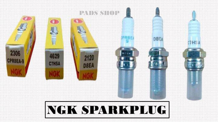 SPARK PLUG NGK C7/D8/CPR6 | Lazada PH