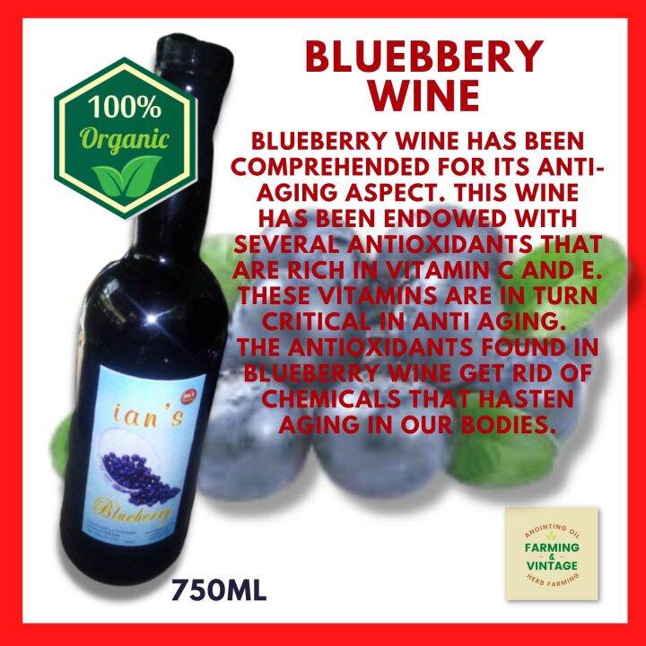 AUTHENTIC HERBAL BLUEBERRY WINE- BAGUIO LOCAL PRODUCT- IAN'S WINE ...