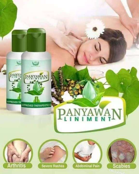 (BUY 1 TAKE 1) Panyawan Liniment | Lazada PH