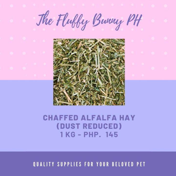 1KG Premium Chaffed Alfafa hay (Dust Reduced) / IT COMES WITH FREEBIE ...