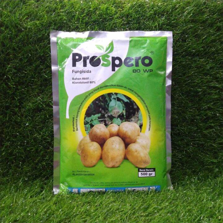 Fungisida Prospero 80WP kemasan 500gr bahan aktif Klorotalonil ...