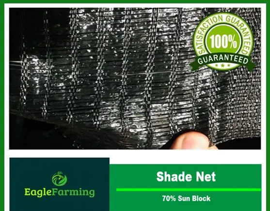 Shade Net (70% Sun Block) - 6 ft x 5 meters | Lazada PH