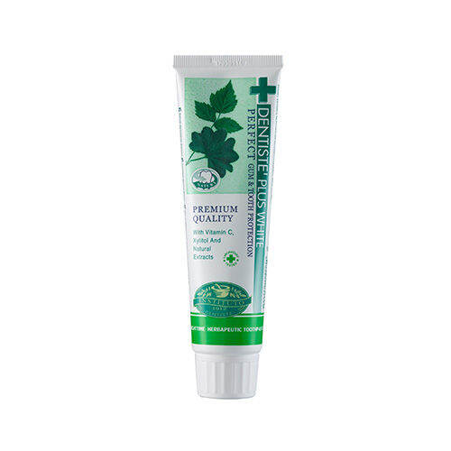 Dentiste Nighttime Normal Toothpaste Tube 100g | Lazada