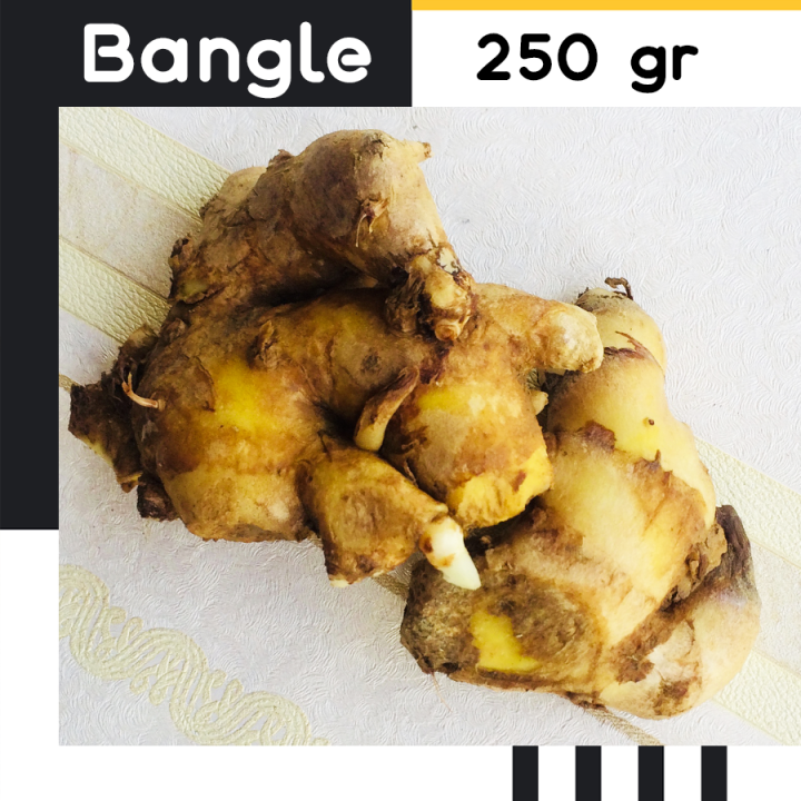 Bangle / Bengle / Pangle JAWA 250gr Asli Gunung - Lebih Ampuh | Lazada ...