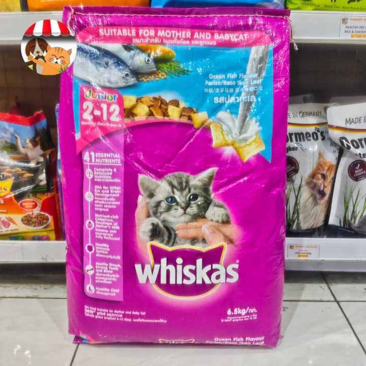 Whiskas Junior 6.5kg - Makanan Kucing Mother And Baby Cat Freshpack ...
