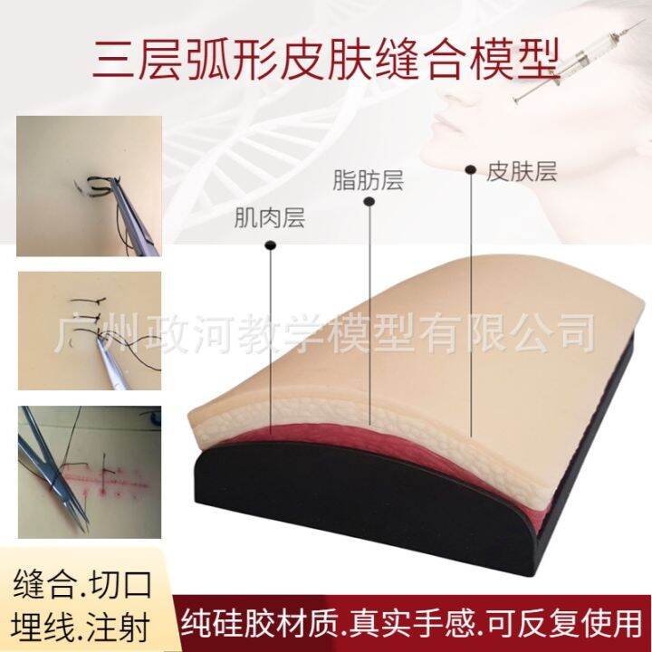 Simulation skin surgical suture module muscle incision suture skill ...