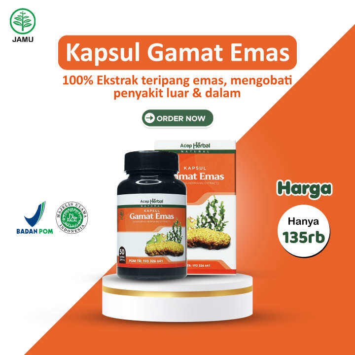 Kapsul Gamat Emas 100% Asli Terlaris Ekstrak Teripang Emas Laut Multui ...