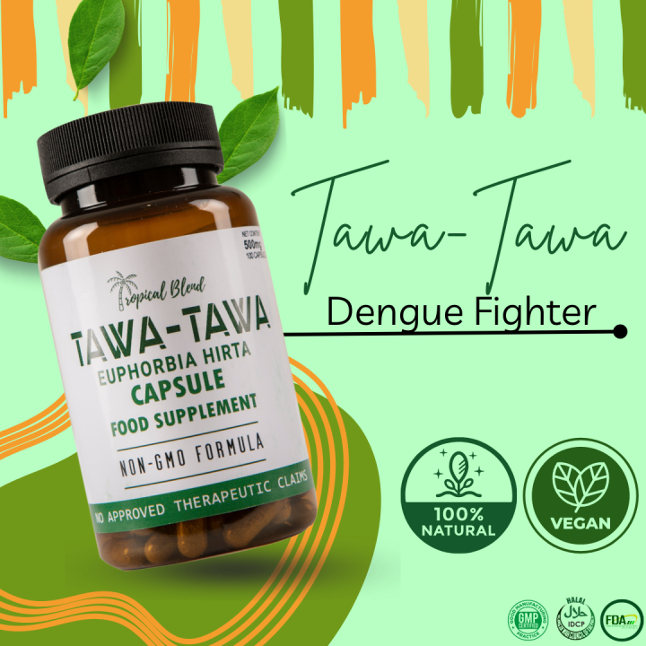 Tawa-Tawa Capsules Food Supplements Pure and Organic FDA Approved (105 ...