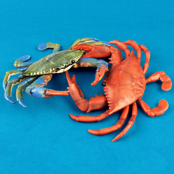 Marine Animal Simulation Model Solid Crab Blue Foot Crab Animal Fun ...
