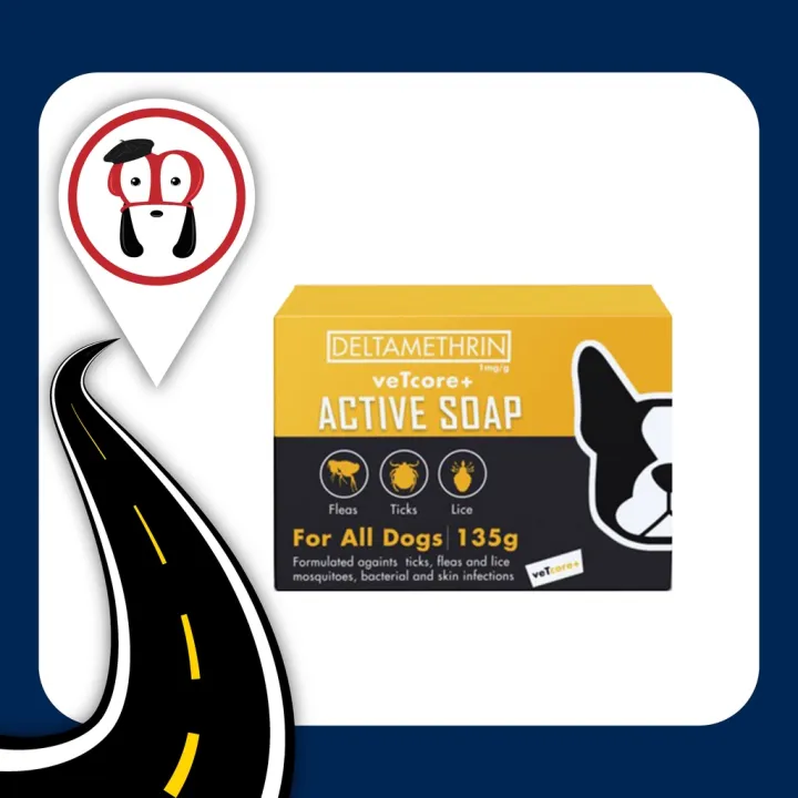 veTcore+ active soap with deltamethrin (135g) | Lazada PH