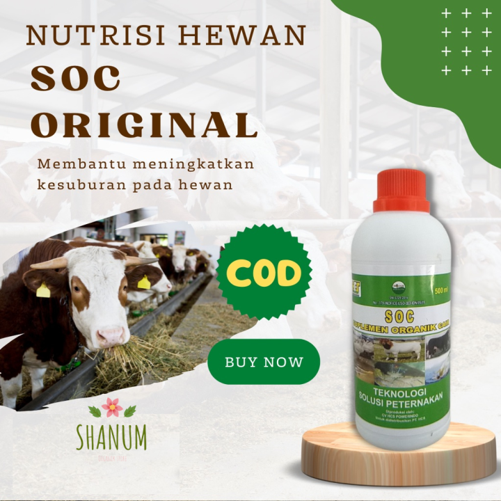 SOC HCS Suplemen/Obat Hewan/Vitamin Hewan - obat untuk penggemuk dan ...