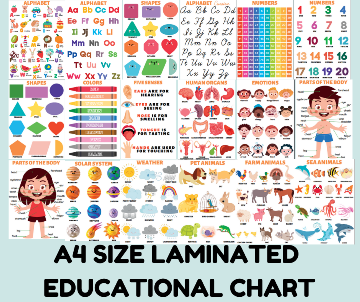 Learning Materials and Educational Charts For Kids - Laminated ...