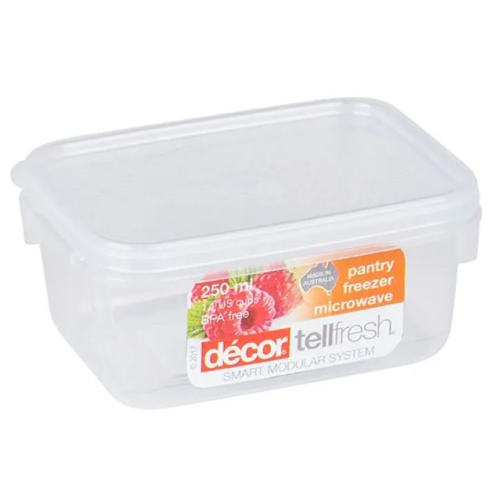 Decor Tellfresh® Storer Food Container, Oblong 250ml | Lazada PH