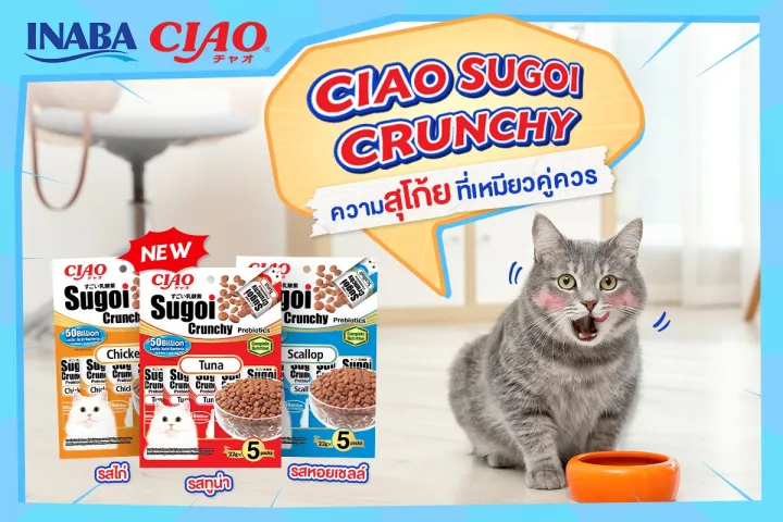 CIAO SUGOI CRUNCHY PLUS PREBIOTICS เชา สุโก้ย ครันชี่ พลัส พรีไบโอติกส์ ขนาด 130 กรัม | Lazada.co.th