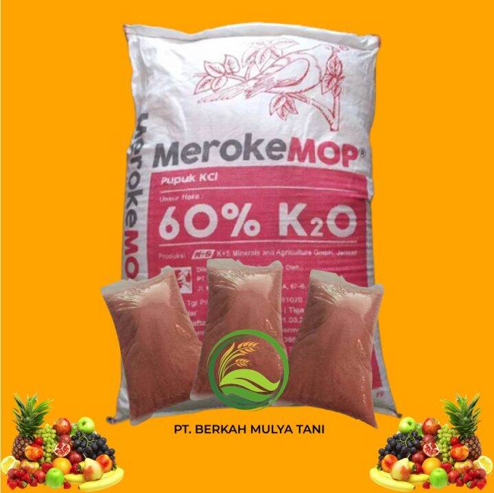 Pupuk Kalium Tinggi KCL Meroke Mop 1 Kg Repack | Lazada Indonesia