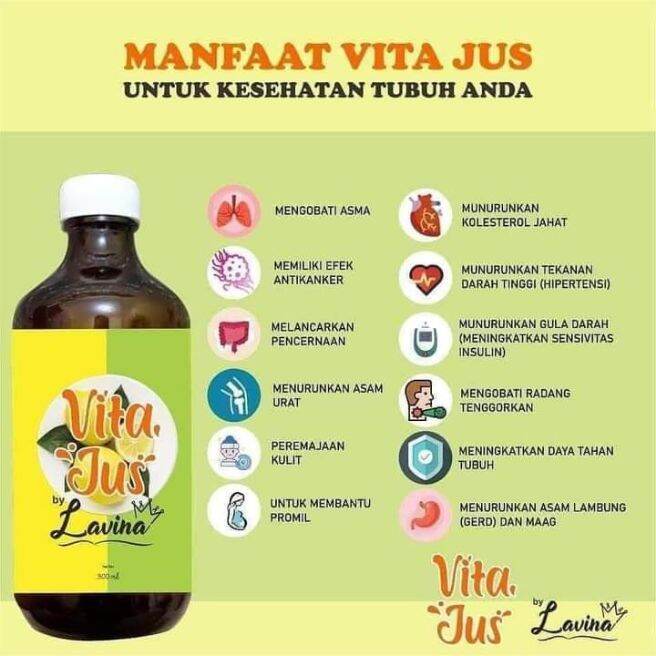 Vitajus Lavina | Lazada Indonesia