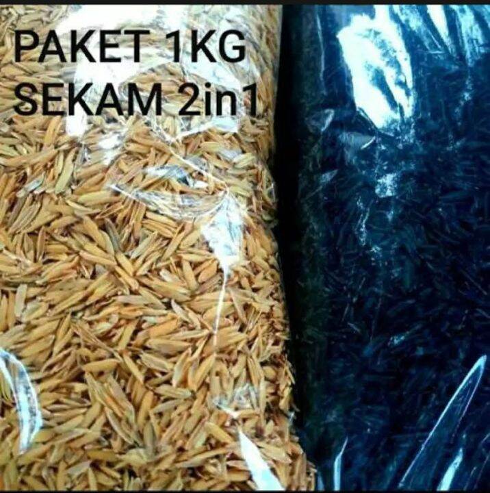 paket media tanam sekam bakar dan sekam mentah/kulit padi 1 kg | Lazada Indonesia