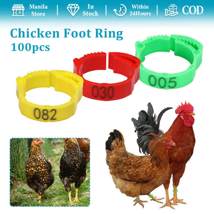 100PCS Chicken Leg Rings 1.8-2.6CM Adjustable Chicken Identification ...