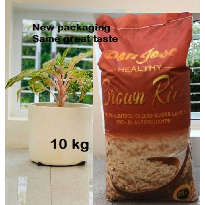 Rice 10 kg | Lazada PH