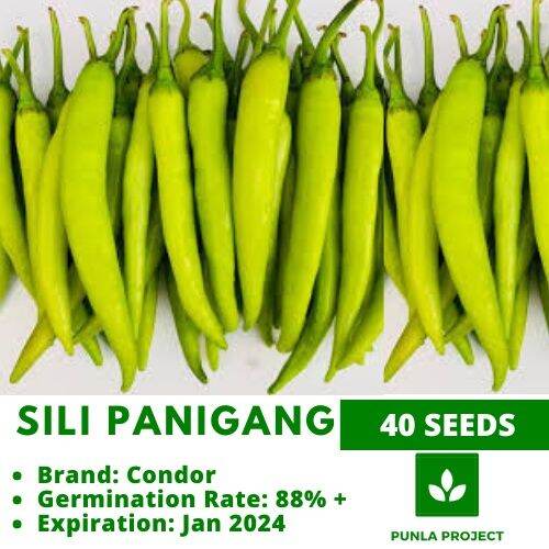 SILI PANIGANG Hybrid Pepper Panigang Best F1 vegetable repacked seeds ...