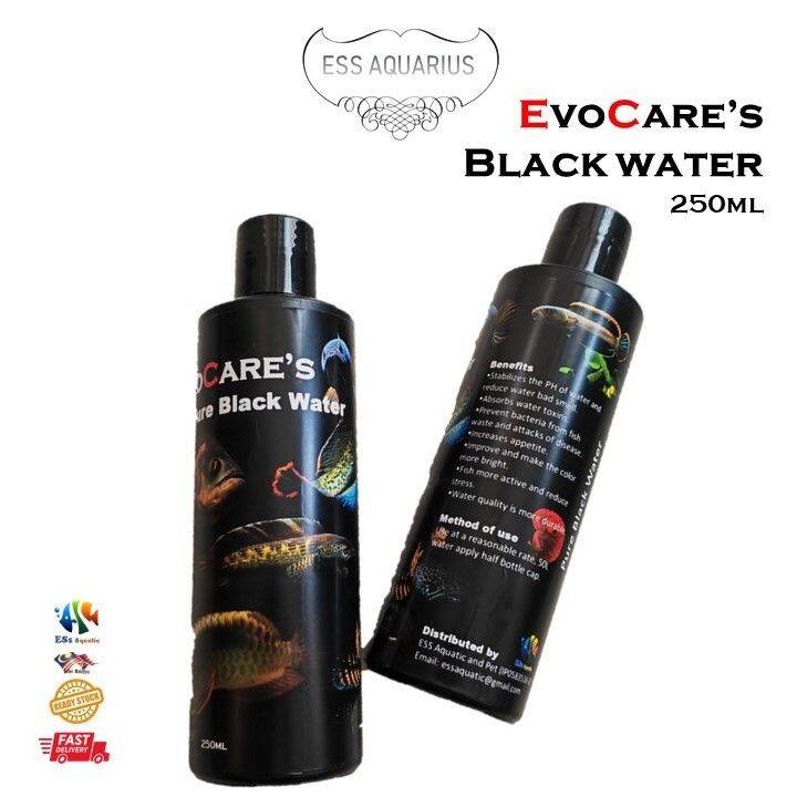 EVOCARE'S Pure Black Water Channa & Arowana Active, Indian Almond leave ...