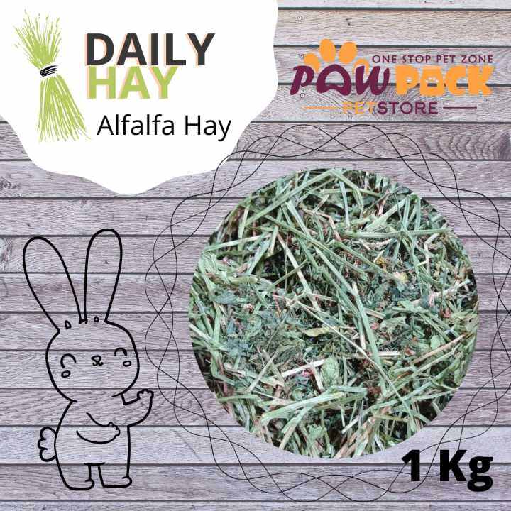 Makanan Kelinci Rumput Alfalfa Daily Hay 1Kg | Lazada Indonesia