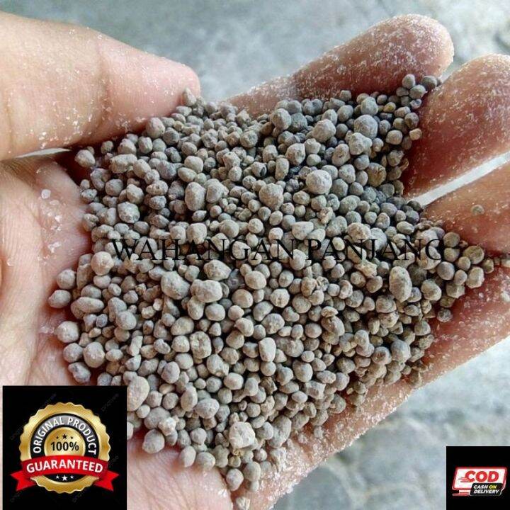 Pupuk TSP 46persen kemasan 1000gr(1kg) | Lazada Indonesia