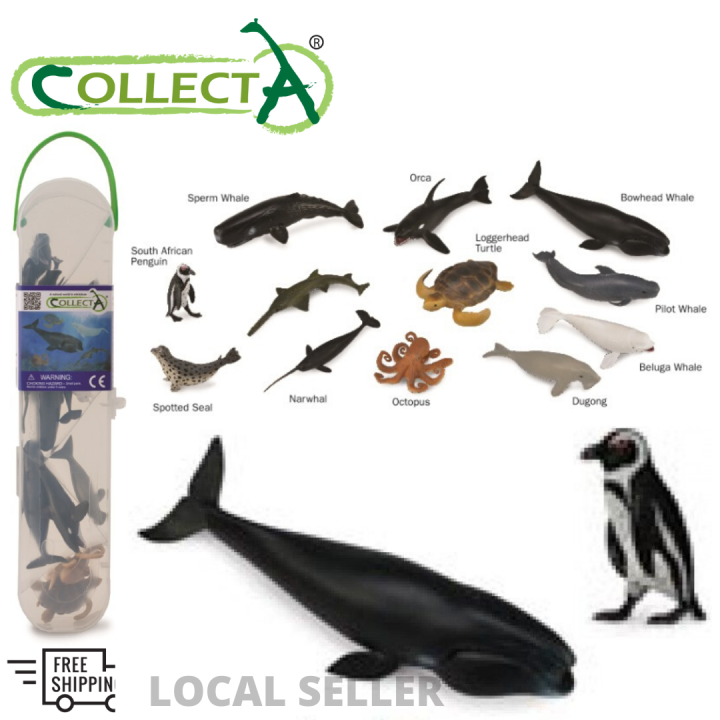 Collecta 12PCS Of Mini Sea Life Animals Box Set A1108 Sea Life Animals ...