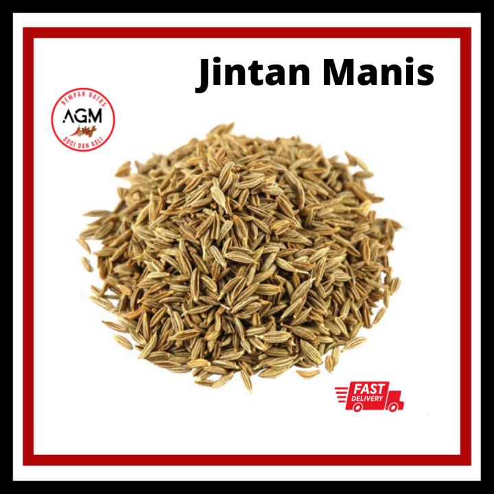 AGM JINTAN MANIS / FENNEL SEEDS READY STOCK 250G / 500G / 1KG | Lazada