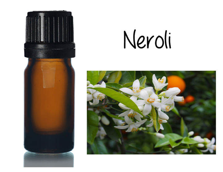 Pure Neroli essential oil 5ml | Lazada PH