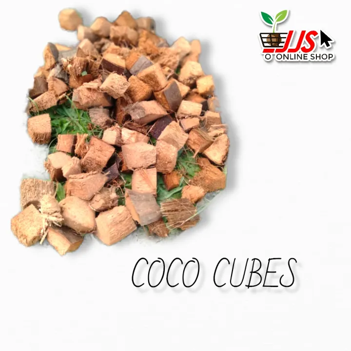 🛒 JJS Store | Coco Cubes 250g | Pure and Organic Coconut Husk Cubes perfect for growing plants ...